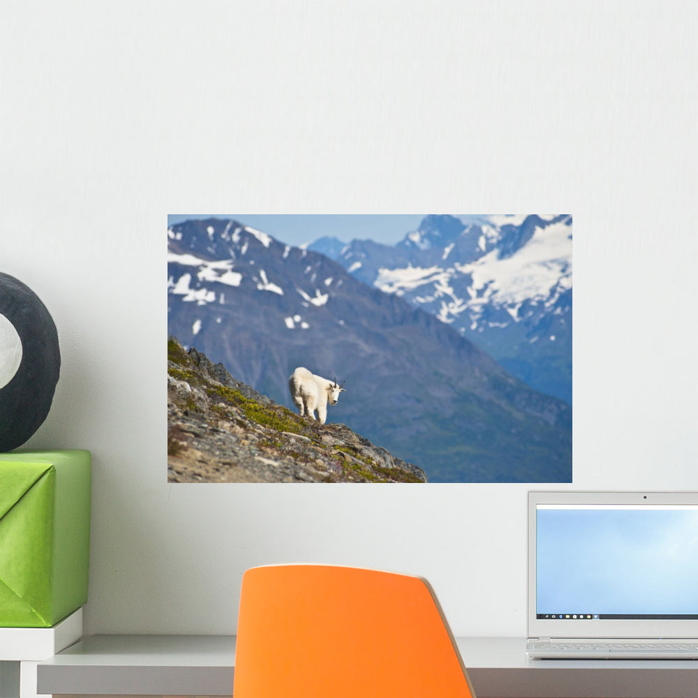 Mountain Goat Wall Mural – Wallmonkeys