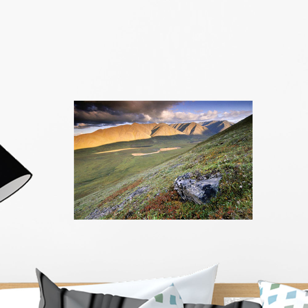 Rock and Alpine Tundra Wall Mural – Wallmonkeys