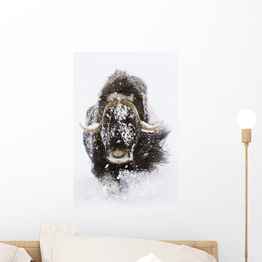 Captive Wall Mural – Wallmonkeys
