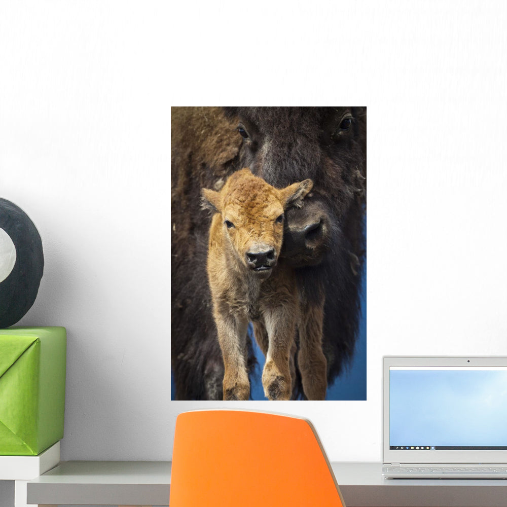 Captive Wall Mural – Wallmonkeys