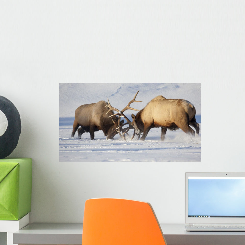 Captive Wall Mural – Wallmonkeys