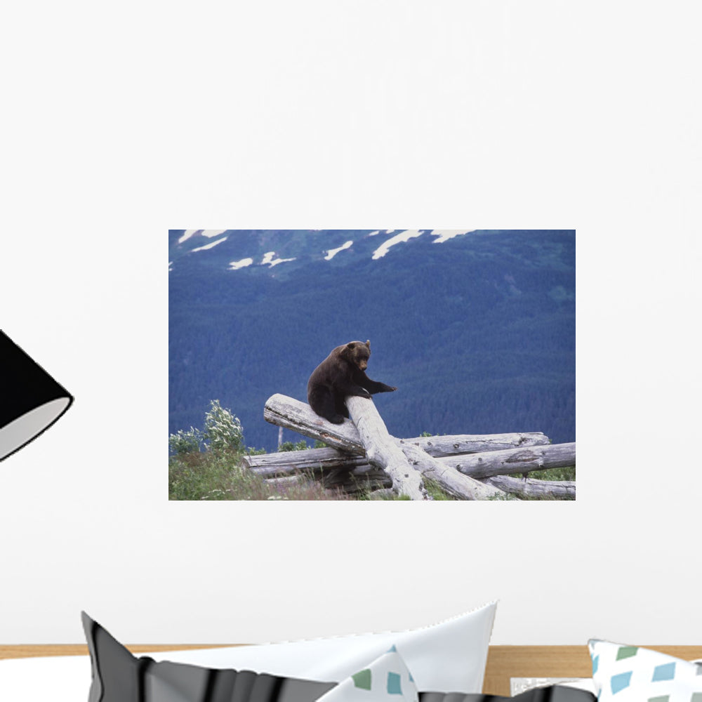 Captive Wall Mural – Wallmonkeys