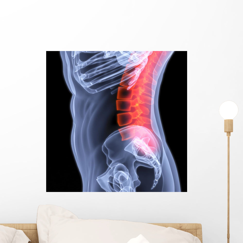 Spine Wall Mural – Wallmonkeys