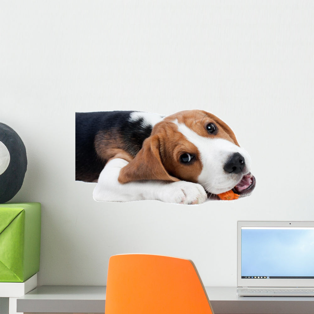 Beagle Puppy Eating Wall Decal – Wallmonkeys