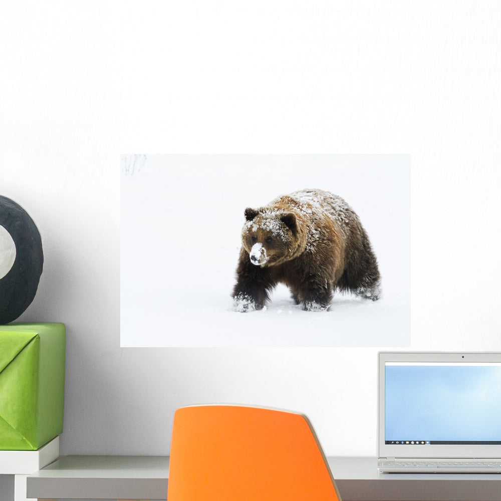 Captive Wall Mural – Wallmonkeys