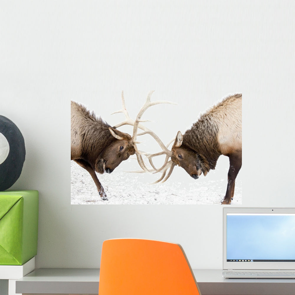 Captive Wall Mural – Wallmonkeys