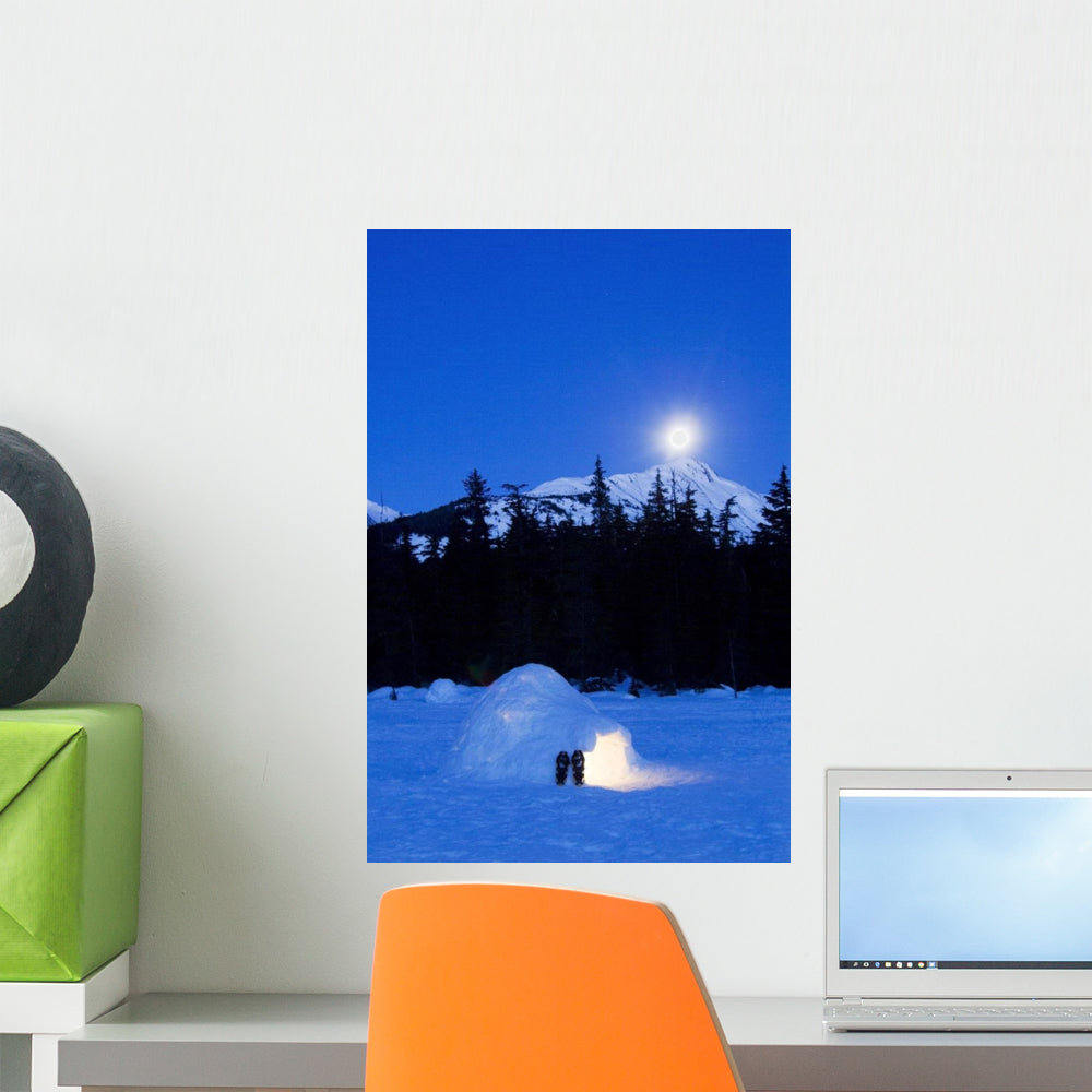 Hand Built Igloo Wall Mural – Wallmonkeys