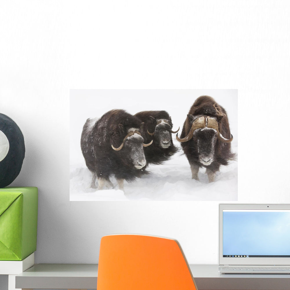 Captive Wall Mural – Wallmonkeys