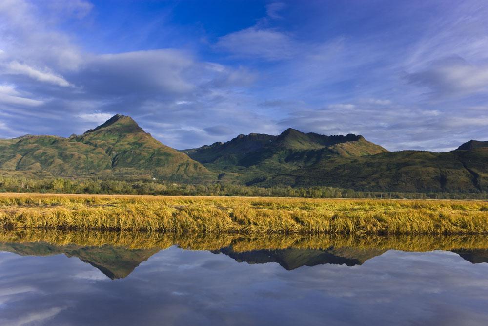 Scenic Tidal Slough along Wall Decal Design 2 - WallMonkeys.com ...