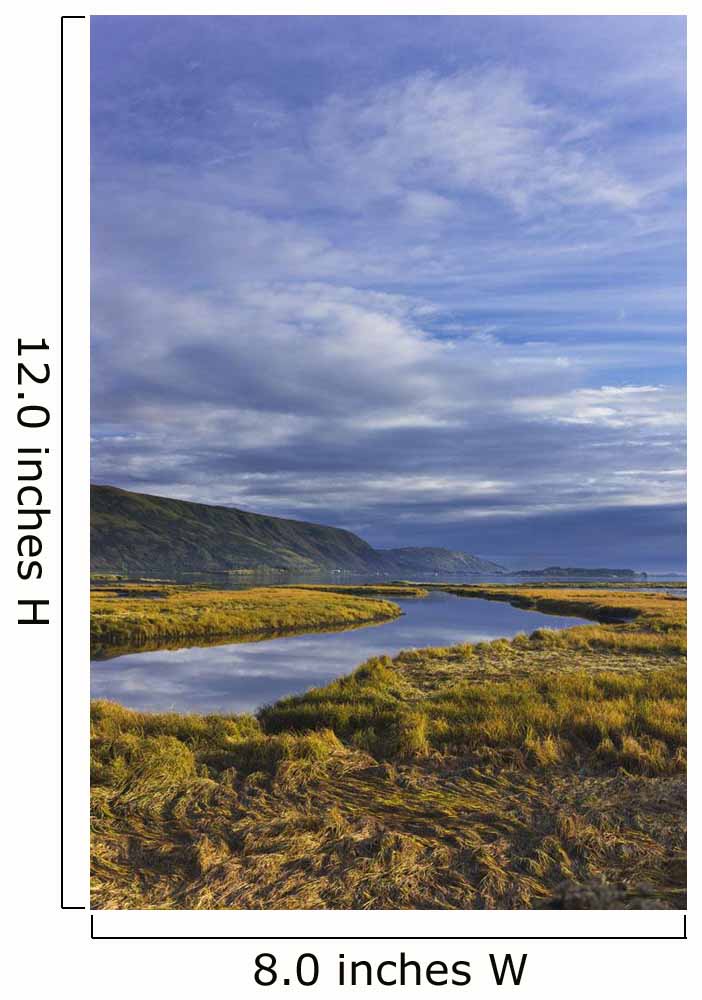 Scenic Tidal Slough along Wall Decal Design 1 - WallMonkeys.com ...