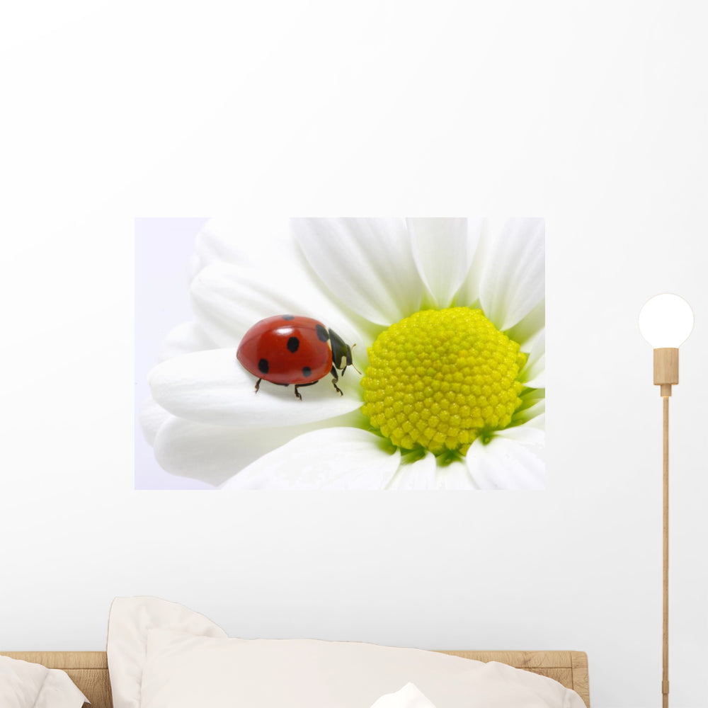 Ladybug Wall Mural – Wallmonkeys