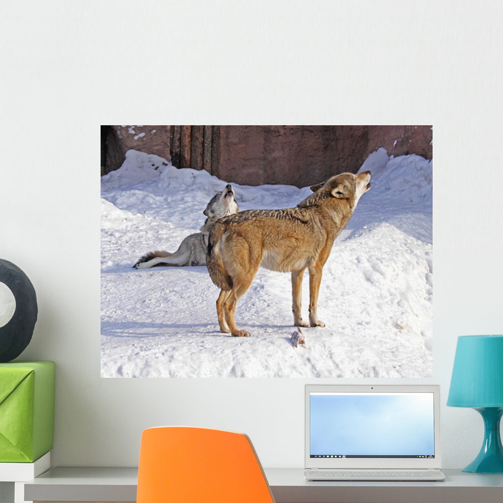 Wolves Wall Mural – Wallmonkeys