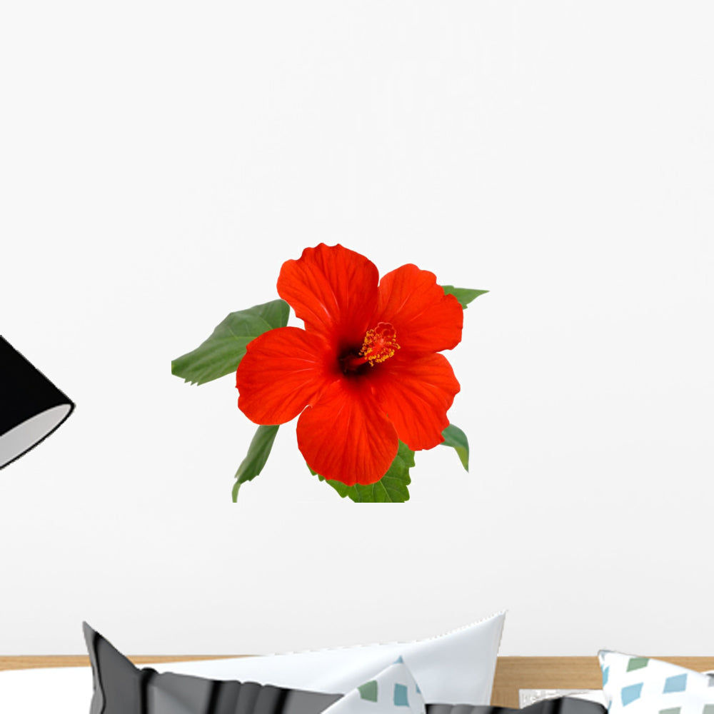 Hibiscus Flower Wall Decal – Wallmonkeys