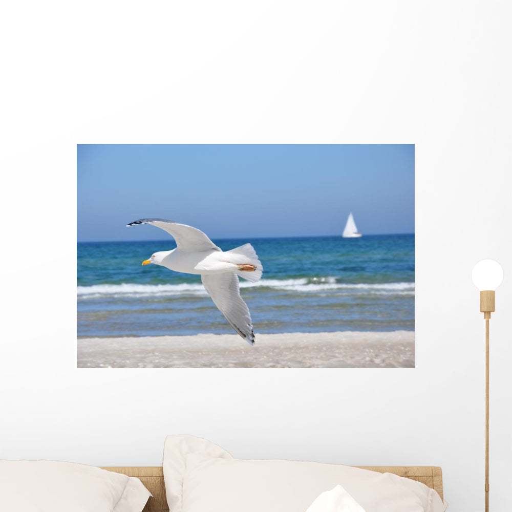 Seagull Wall Mural – Wallmonkeys