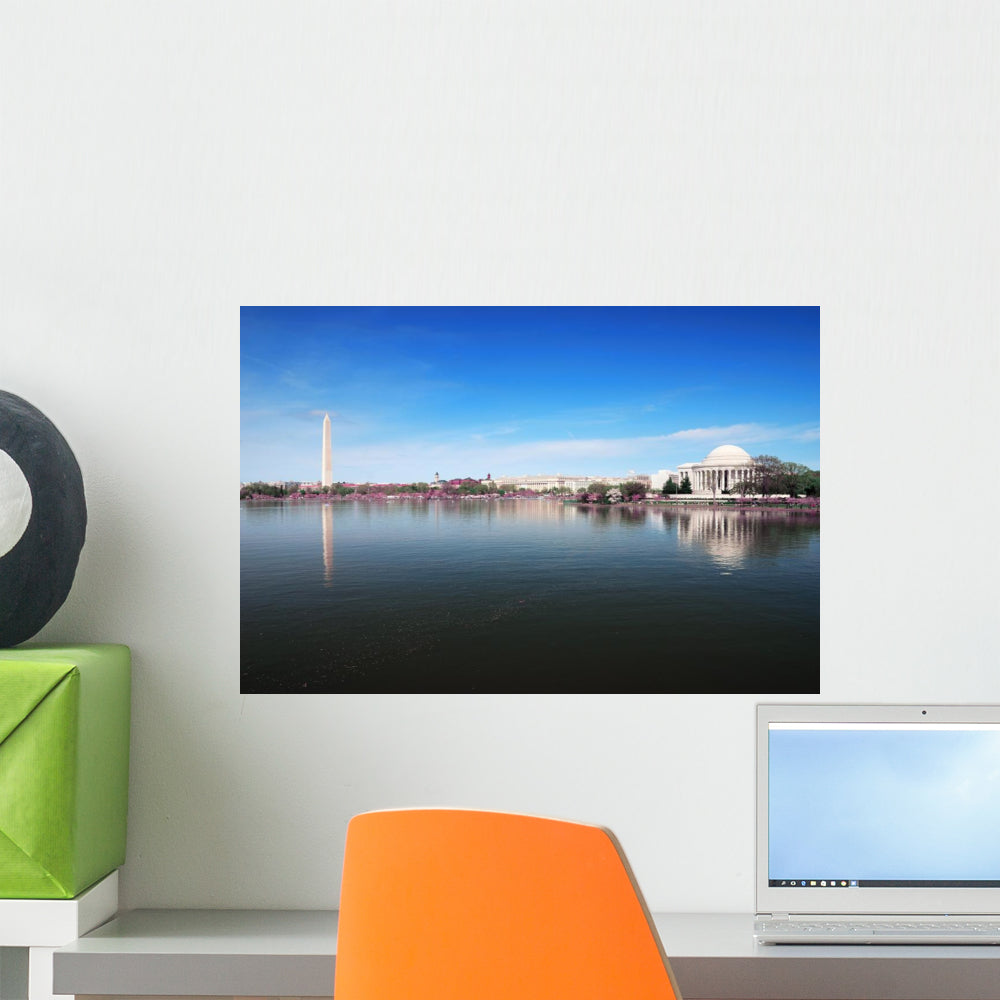 Washington Dc Wall Mural – Wallmonkeys