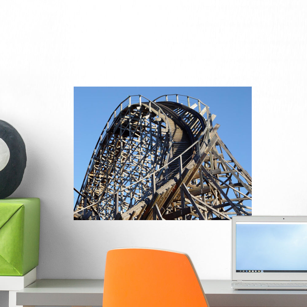 Roller Coaster Wall Mural – Wallmonkeys
