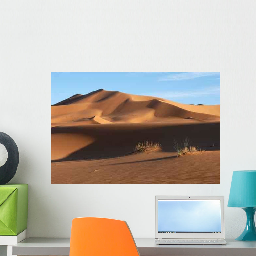 Sahara Desert Wall Decal Design 5 - WallMonkeys.com – Wallmonkeys