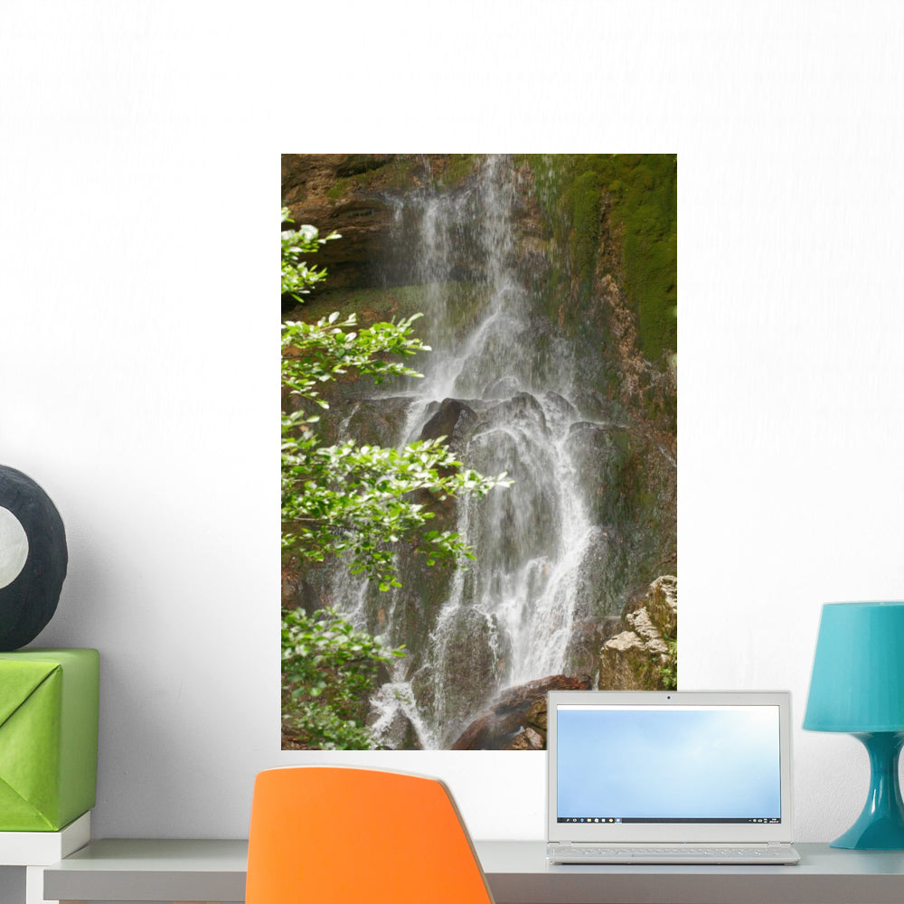 Beautiful Waterfall Forest Wall Mural – Wallmonkeys