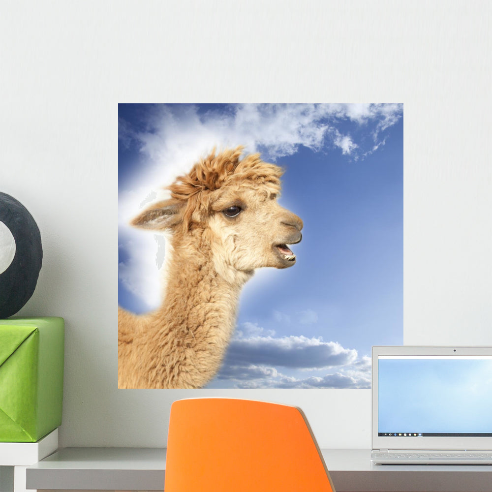 Crying Alpaca Front Blue Wall Mural – Wallmonkeys
