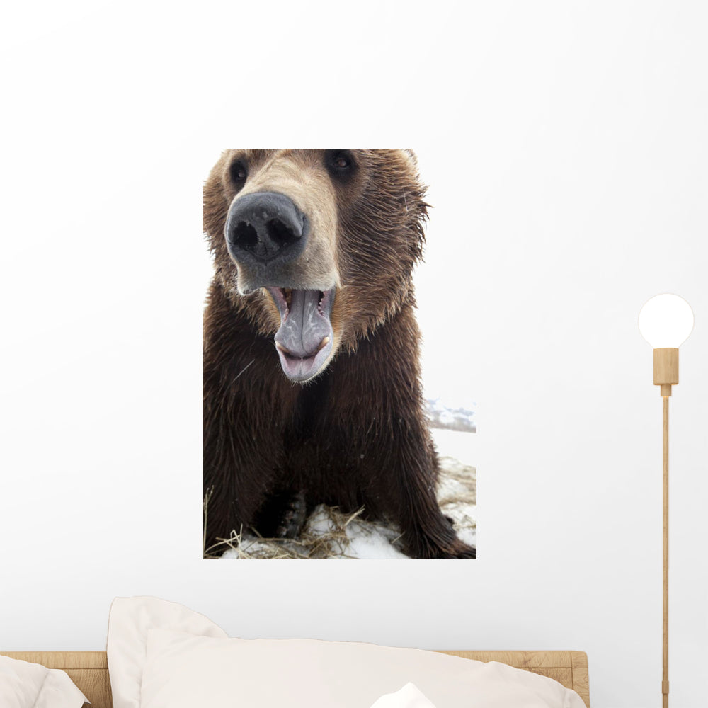 Captive Wall Mural – Wallmonkeys