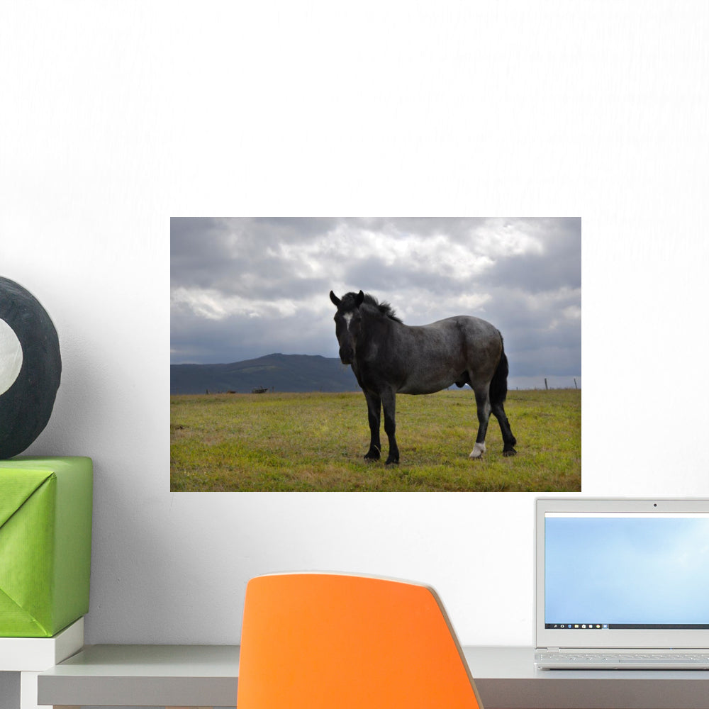 Horse – Wallmonkeys