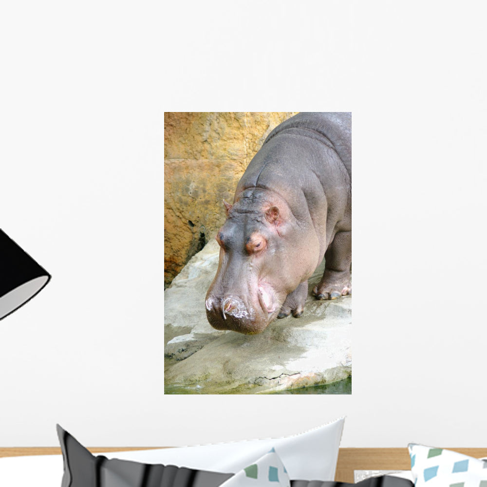Kaba Wall Mural – Wallmonkeys