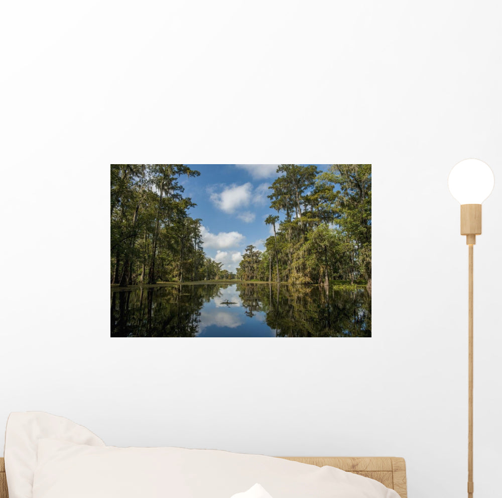 Usa Louisiana Swamp Landscape Wall Mural – Wallmonkeys