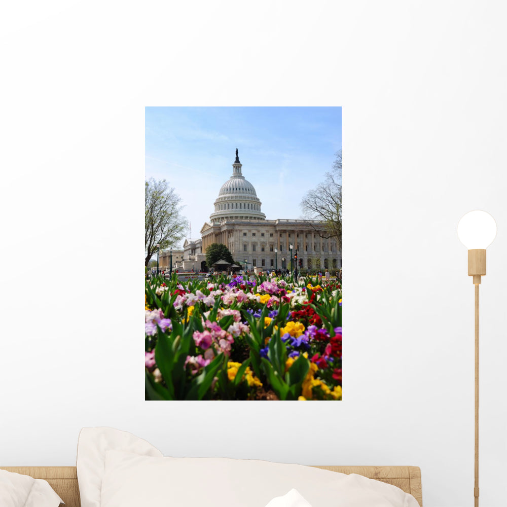 Capitol Building Washington Dc Wall Mural – Wallmonkeys