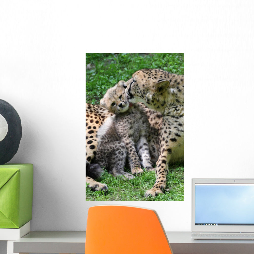 Boy Cheetahs Tiergarten – Wallmonkeys