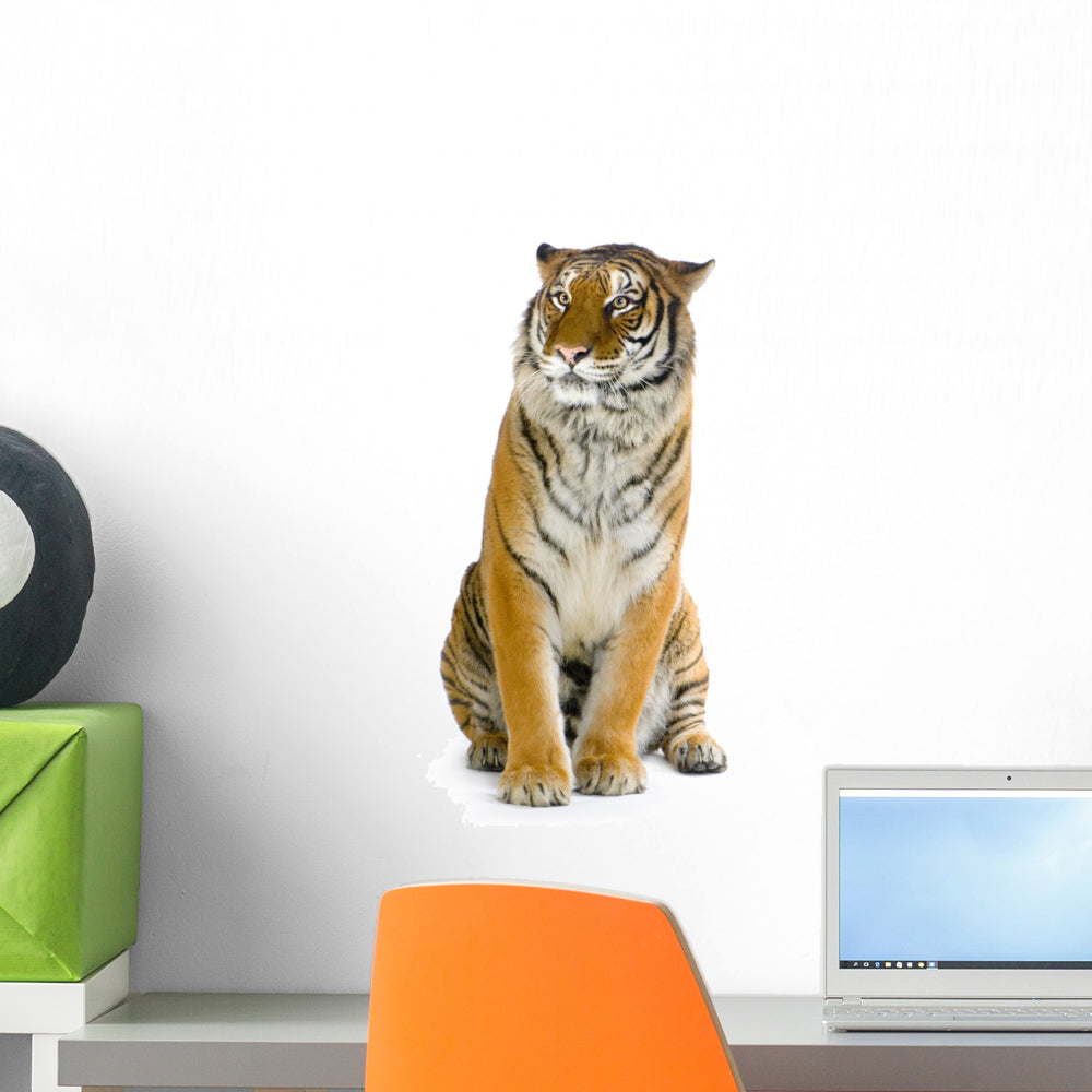 Tigre Assis Wall Decal – Wallmonkeys