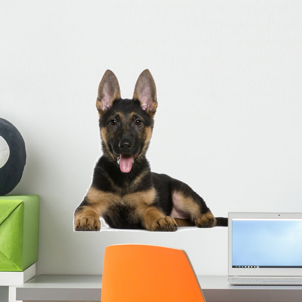 German Shepherd Puppy Wall Decal – Wallmonkeys
