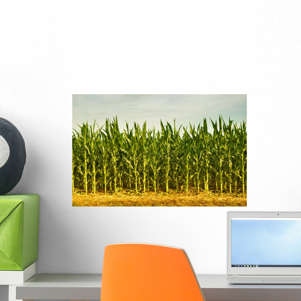 Cornfield Wall Mural – Wallmonkeys