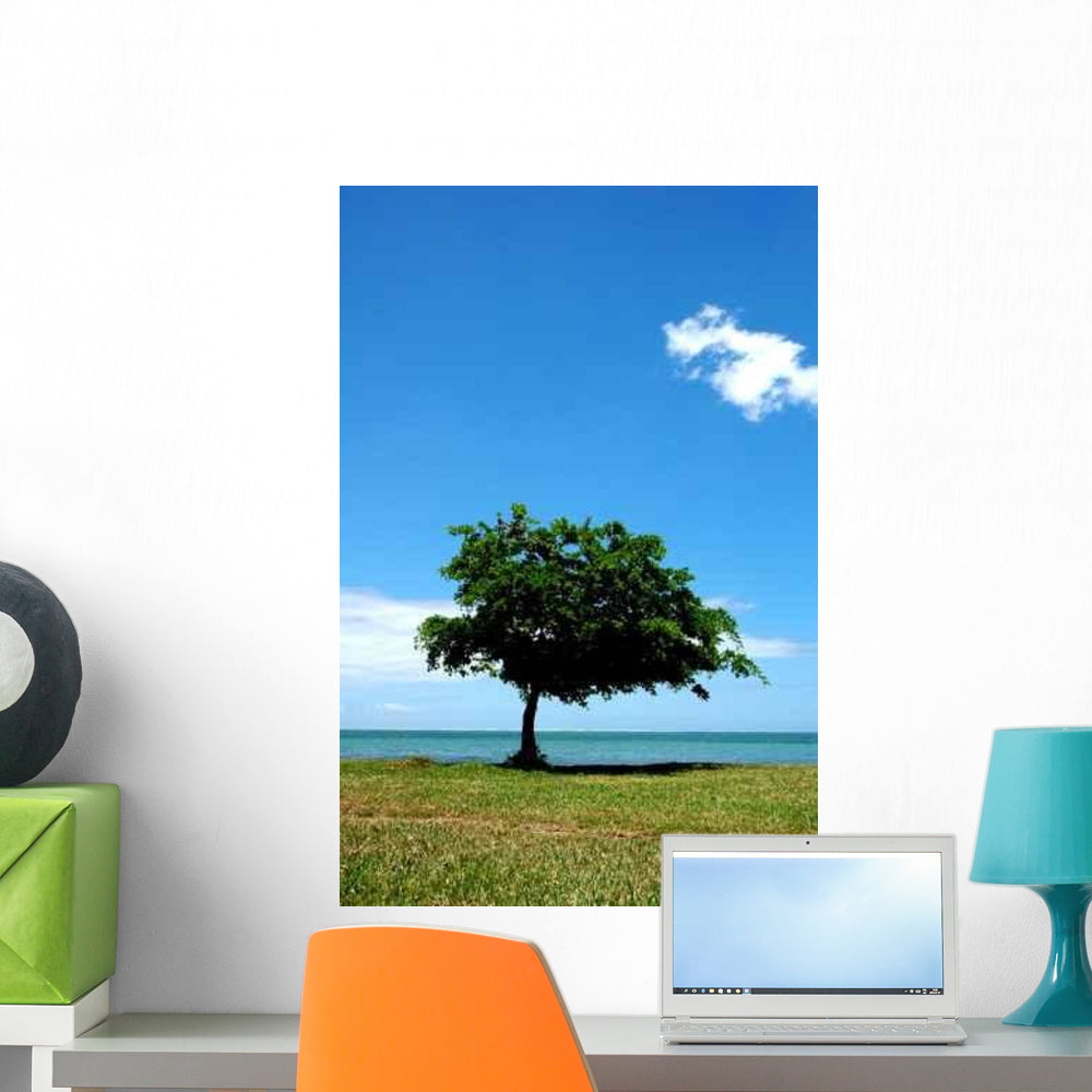 Bay Cape Solitude Wall Decal - WallMonkeys.com – Wallmonkeys