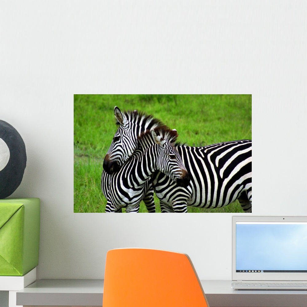 Zebra – Wallmonkeys