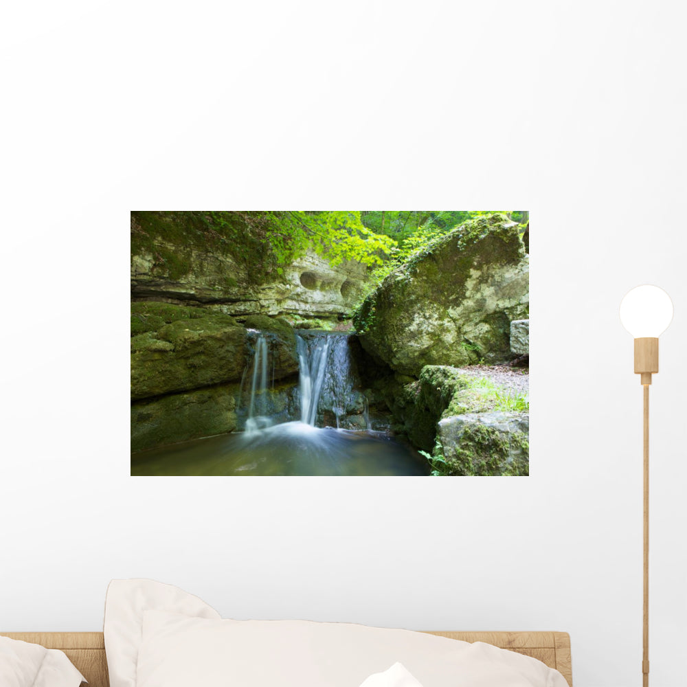 Brook Wall Mural – Wallmonkeys