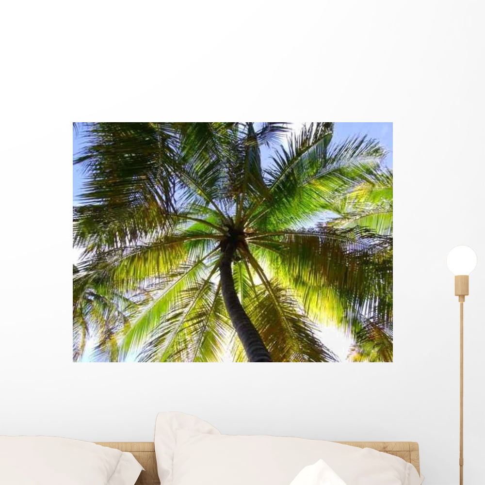 Coconut Tree Wall Decal - WallMonkeys.com – Wallmonkeys