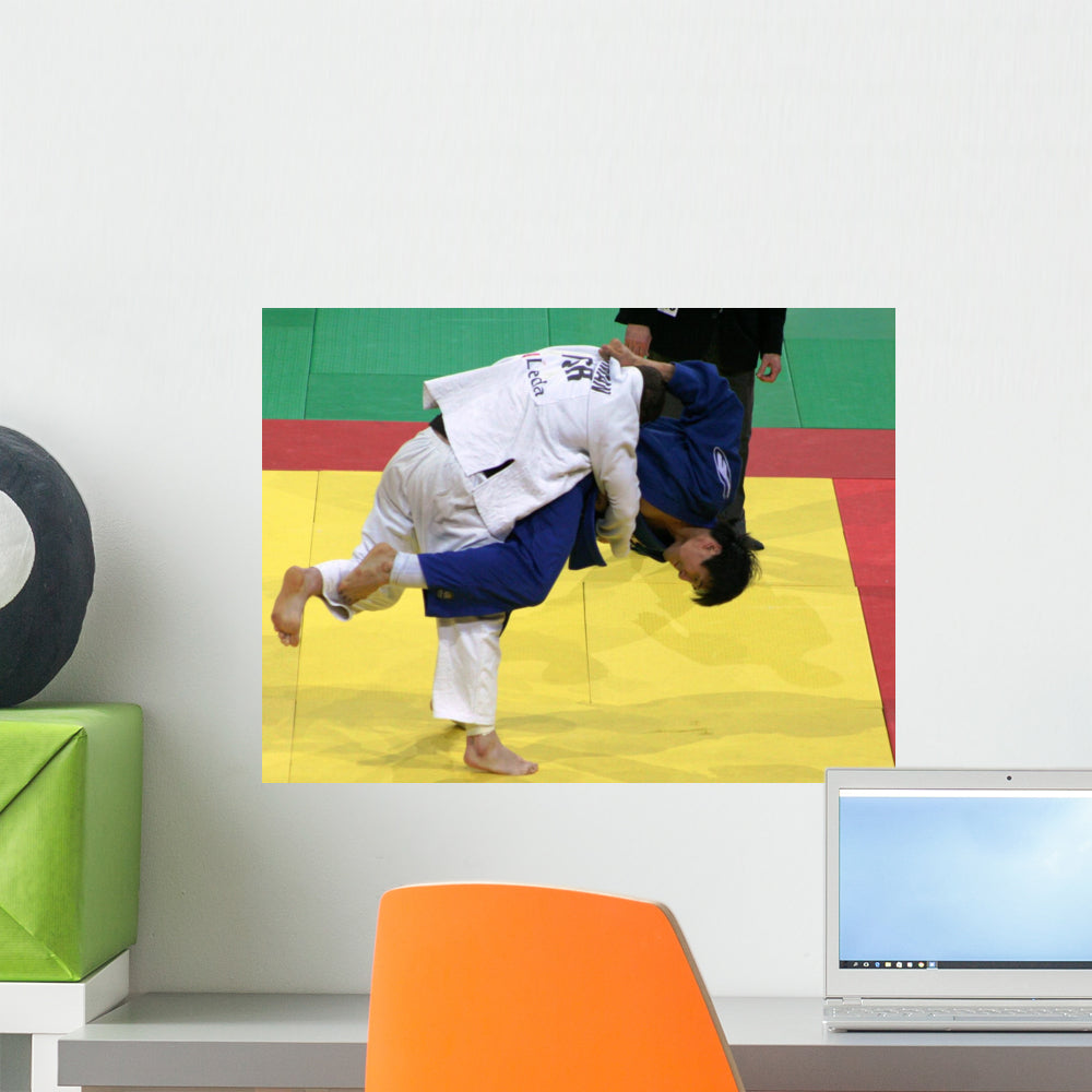 Judo Wall Mural – Wallmonkeys
