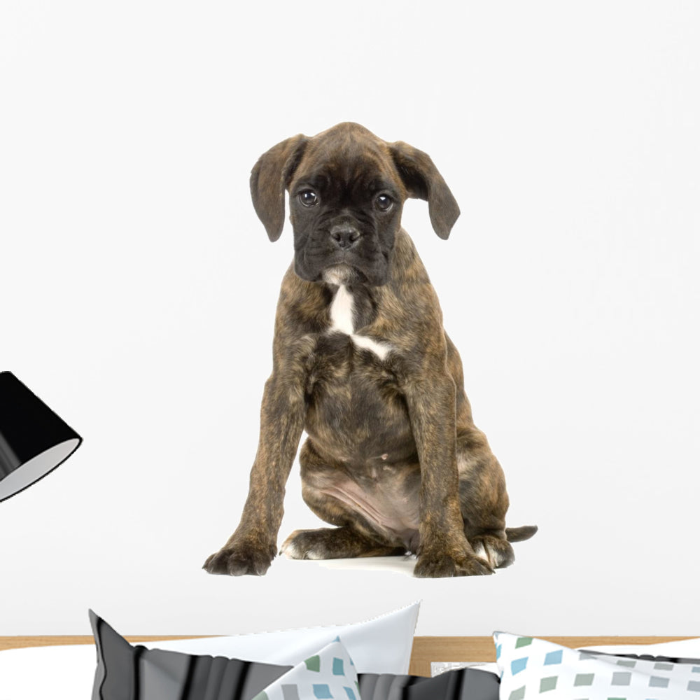 Chiot Boxer Wall Decal - WallMonkeys.com – Wallmonkeys