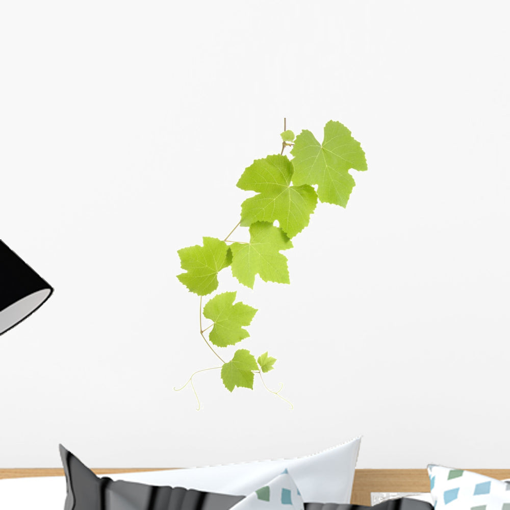 Grape Leaves Wall Decal – Wallmonkeys