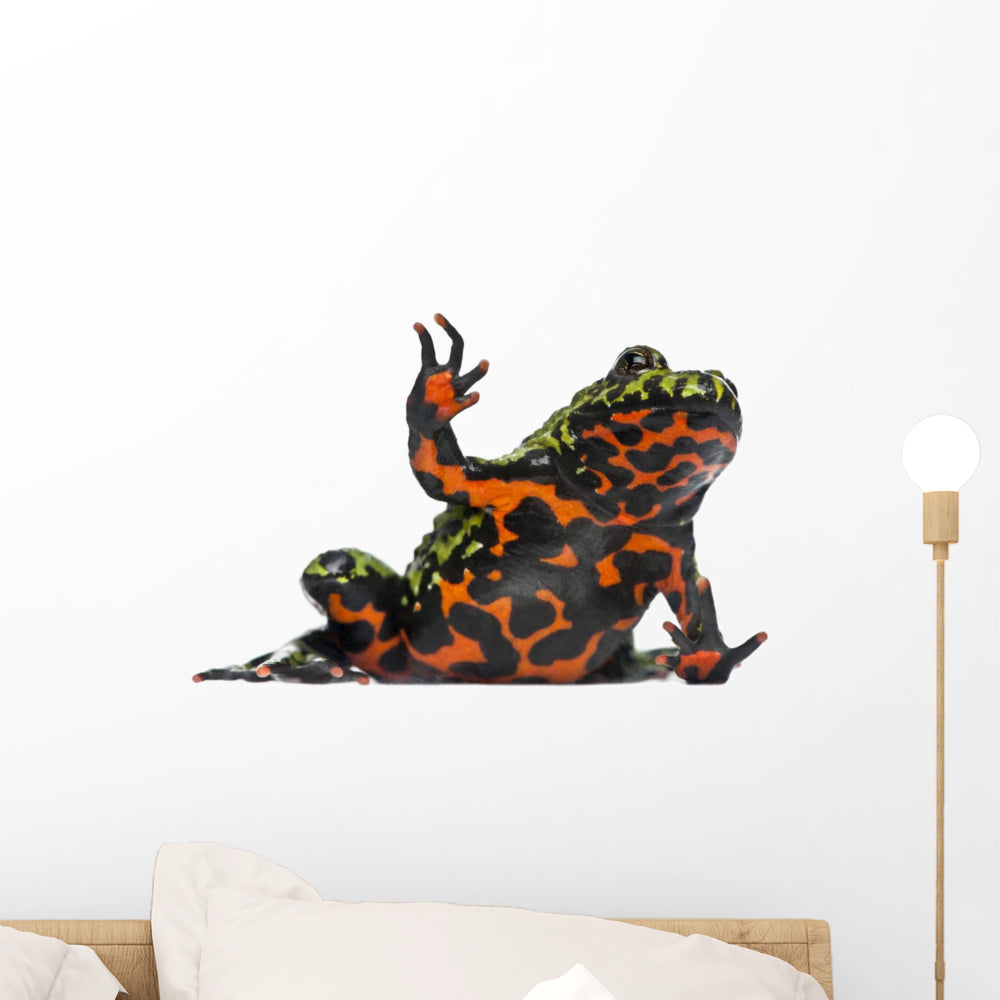 Oriental Fire-bellied Toad Waving Wall Decal – Wallmonkeys