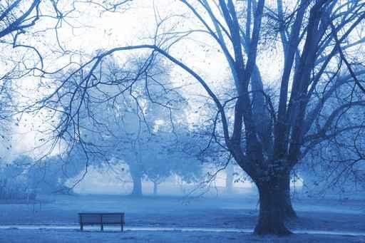 Morning Mist Wall Decal - WallMonkeys.com – Wallmonkeys