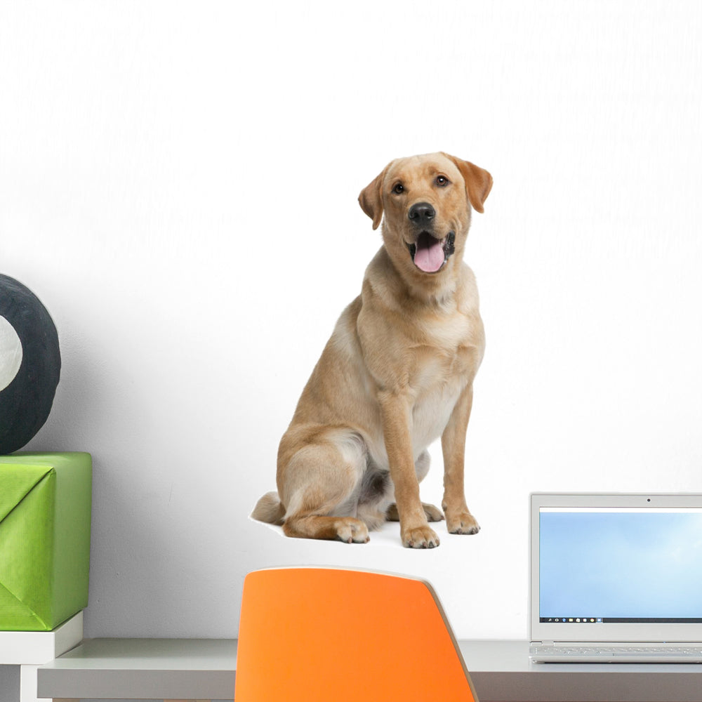 Golden Labrador Retriever Wall Decal – Wallmonkeys