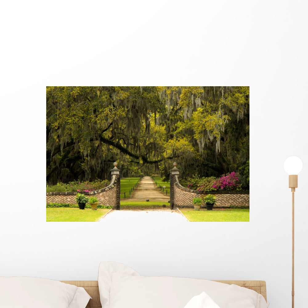 Plantation Wall Mural – Wallmonkeys