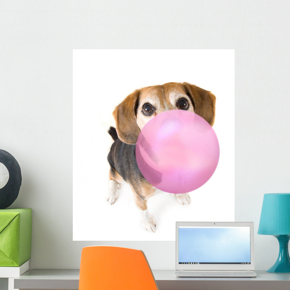 Cute Beagle Blowing Bubble Wall Mural – Wallmonkeys