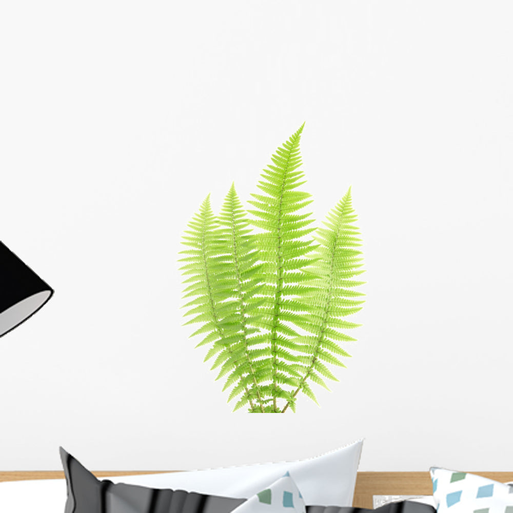 Fern Leaf White Wall Decal – Wallmonkeys