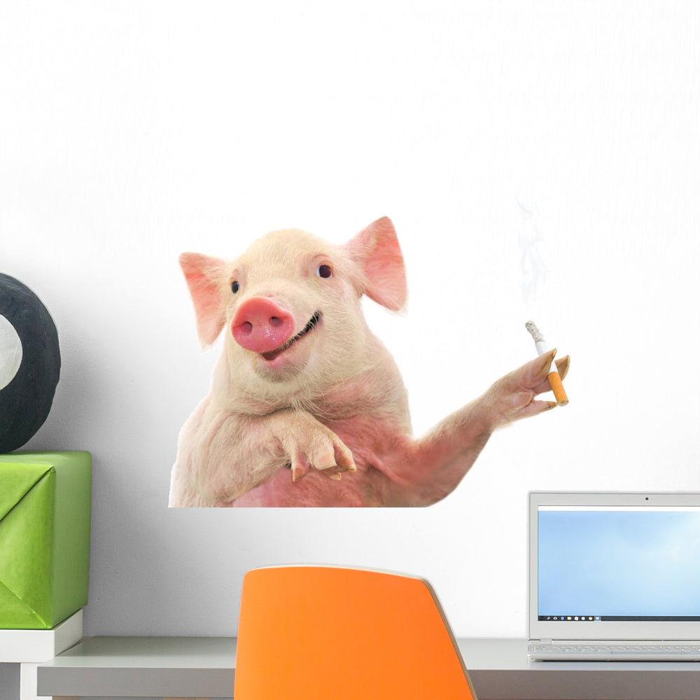 Pig Smoking Cigarette Wall Mural – Wallmonkeys
