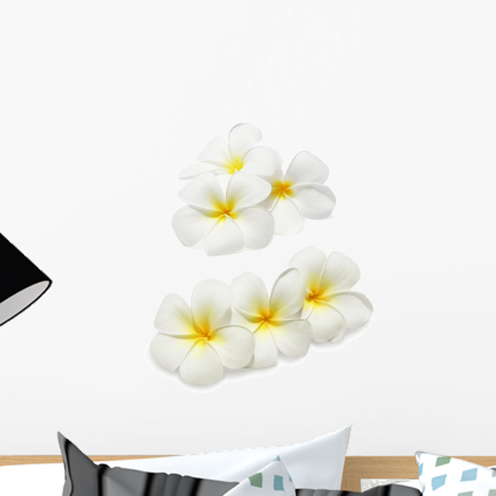 Frangipani Plumeria Wall Stickers – Wallmonkeys