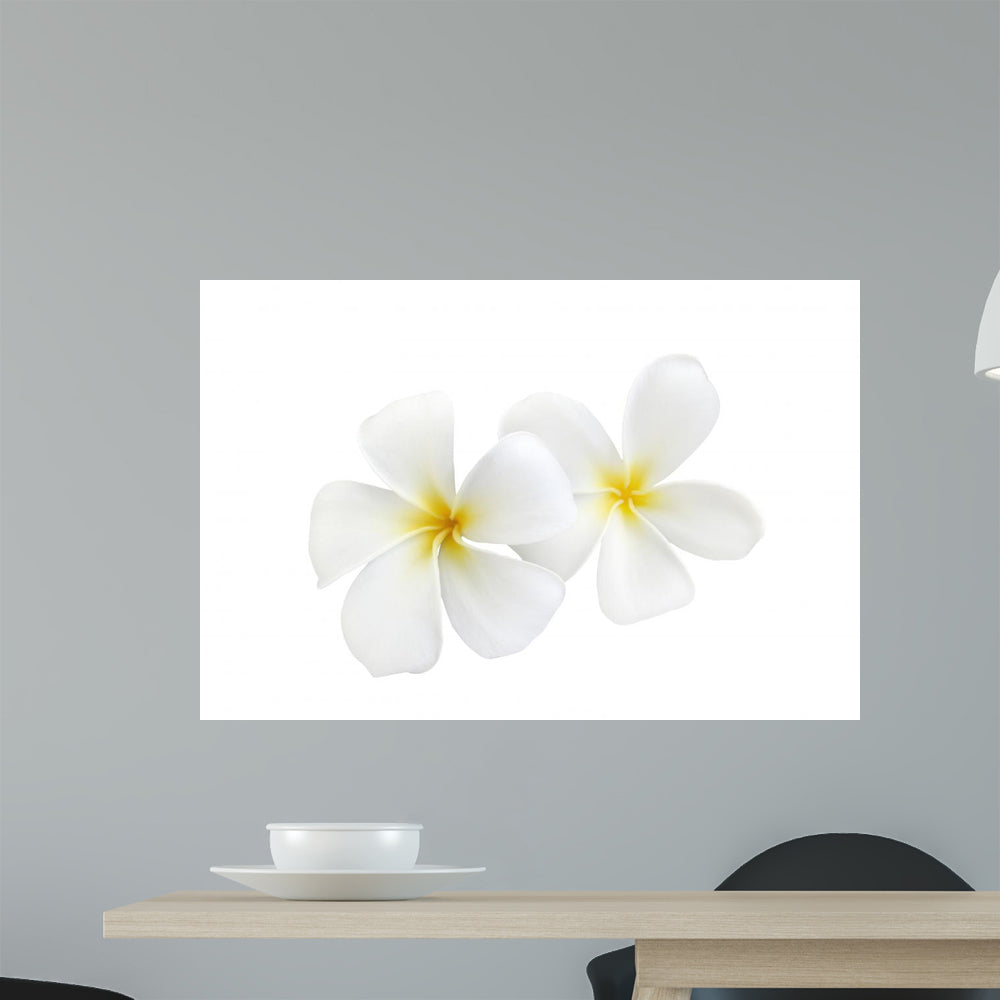 White Frangipani Wall Decal - WallMonkeys.com – Wallmonkeys