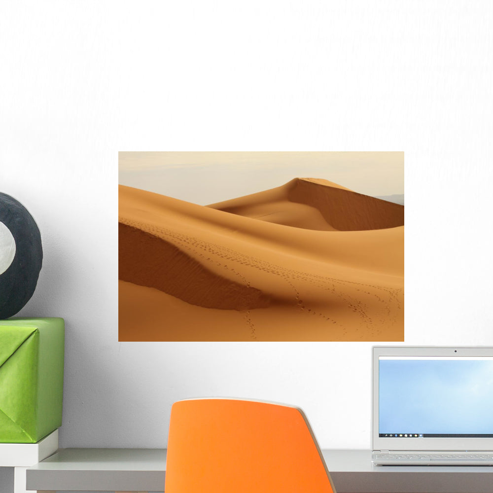 Sahara Desert Morocco Wall Mural – Wallmonkeys