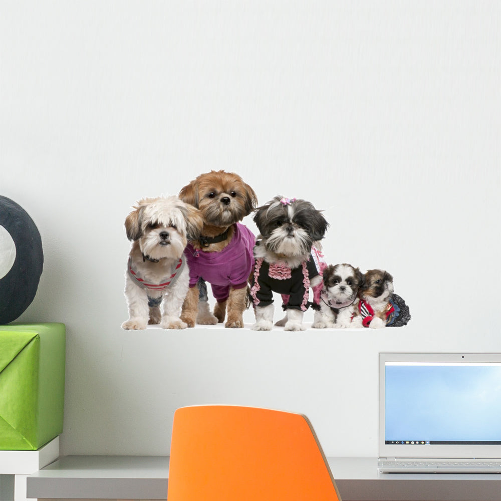 Fashionable Shih Tzus Wall Decal – Wallmonkeys